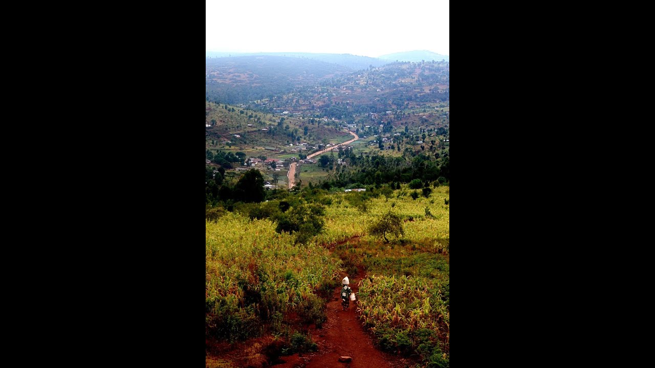 South Cushitic in Inner Mbugu: Historical Linguistics and Linguistic ...