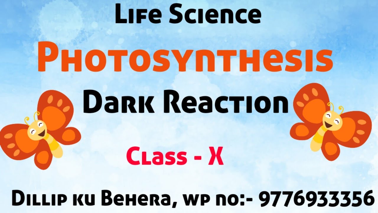 Life science, Class-x, Dark Reaction (ଅନ୍ଧକାର ପ୍ରକ୍ରିୟା) - YouTube