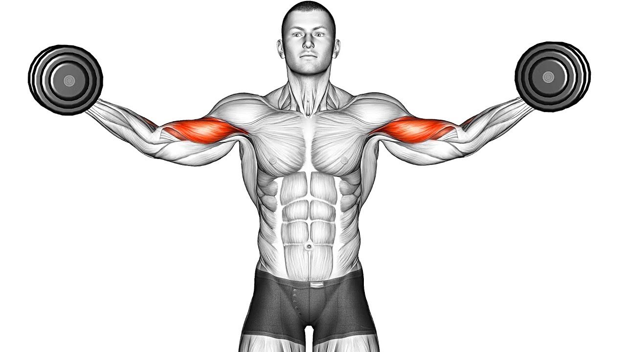 14 EXERCÍCIOS COM HALTERES EM CASA - VIDA SAUDÁVEL - FITNESS EM CASA ...