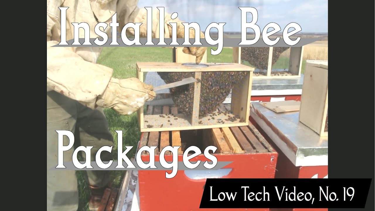 Installing Bee Packages -- Low Tech Video, No. 19 - YouTube