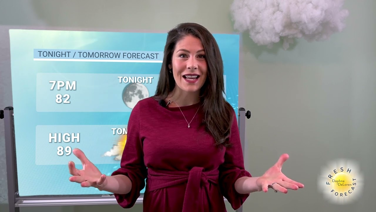 Your Middle Tennessee Fresh Forecast with Chief Meteorologist Daphne ...