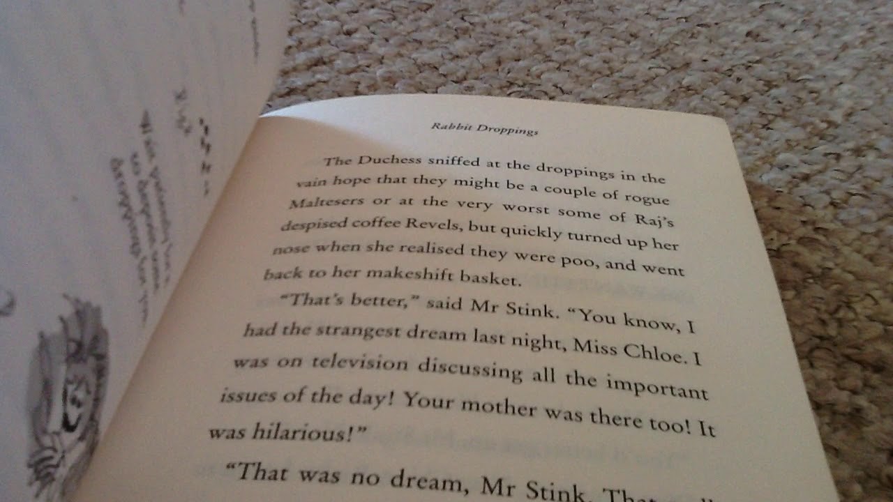 Mr Stink Chapter 18 Rabbit Droppings - YouTube