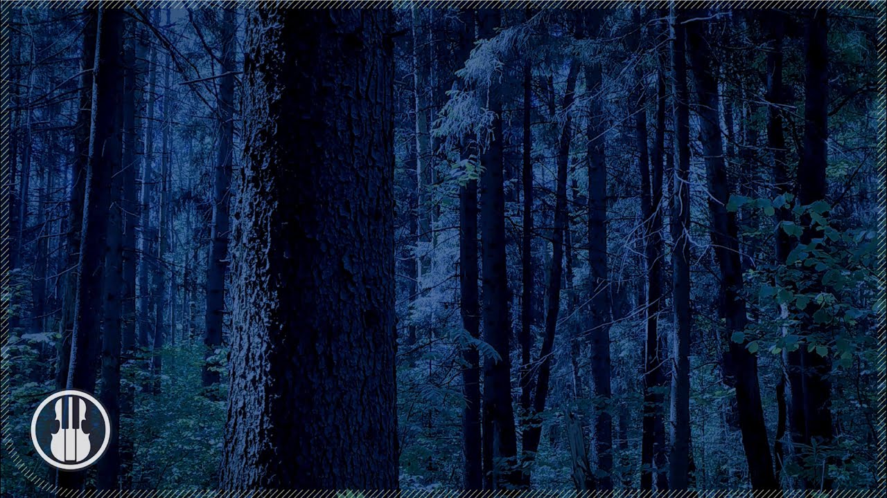 Nighttime ambience: Owls and Crickets, Bird at Night - ASMR Night ...
