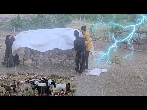 Real nomadic life under the rain | Buying a goat and surviving in harsh nature