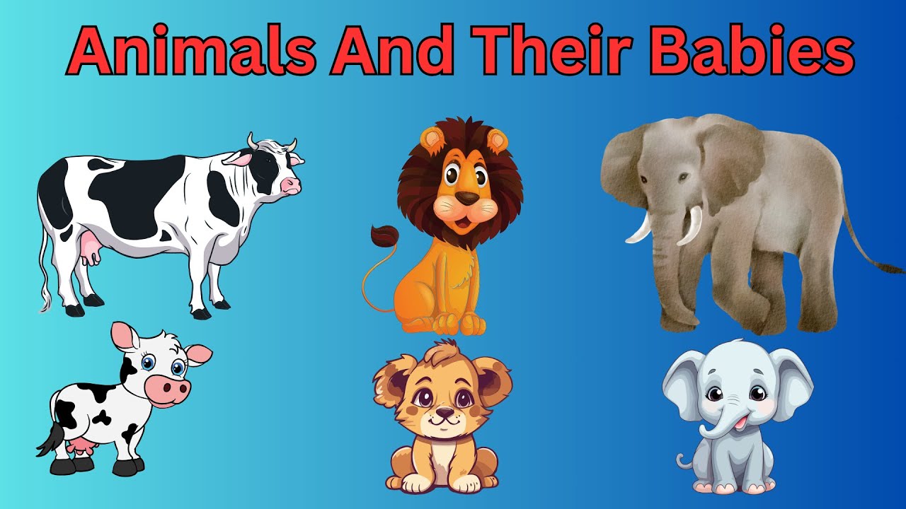 " Animals And Their Babies | 10 Animals and Their Cute Baby Names | Fun ...