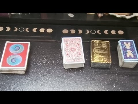 LIVE TAROT CARD READING - YouTube