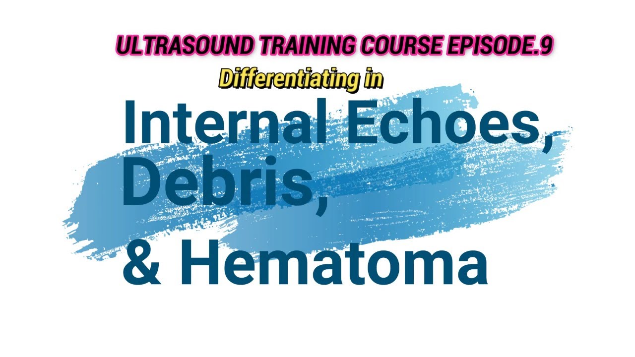 Beginner to Pro: Ultrasound Journey (Episode 9)Differentiating Internal ...