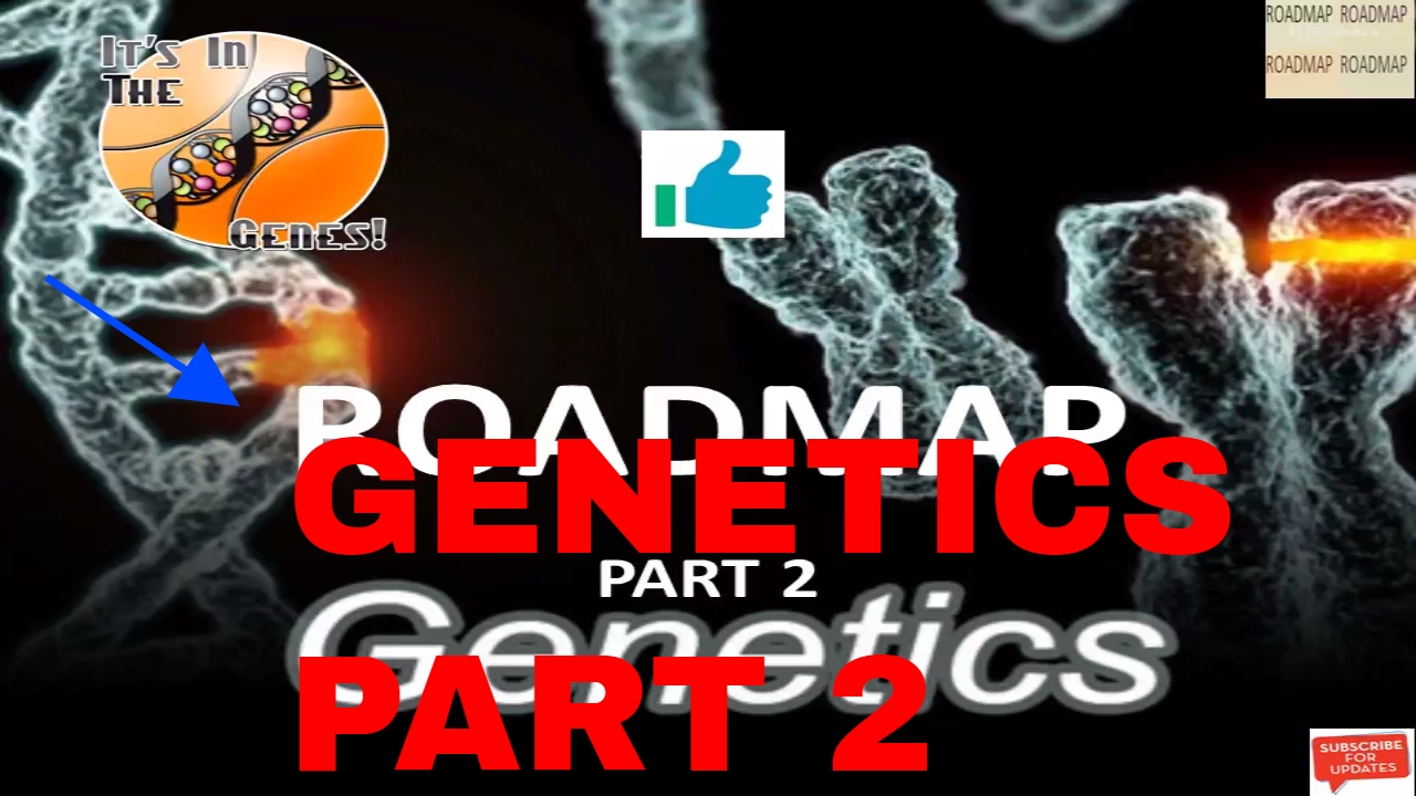 GENETICS PART 2 - YouTube