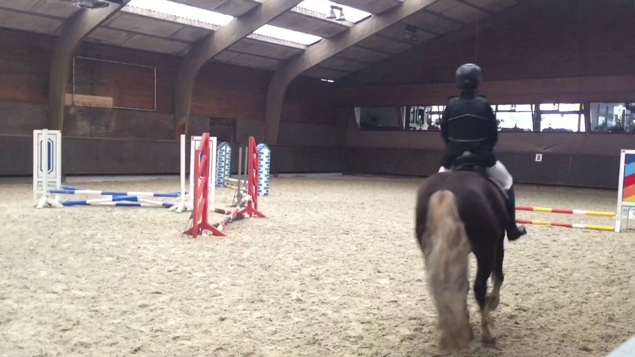 Springwedstrijd || Cutie.powns - YouTube