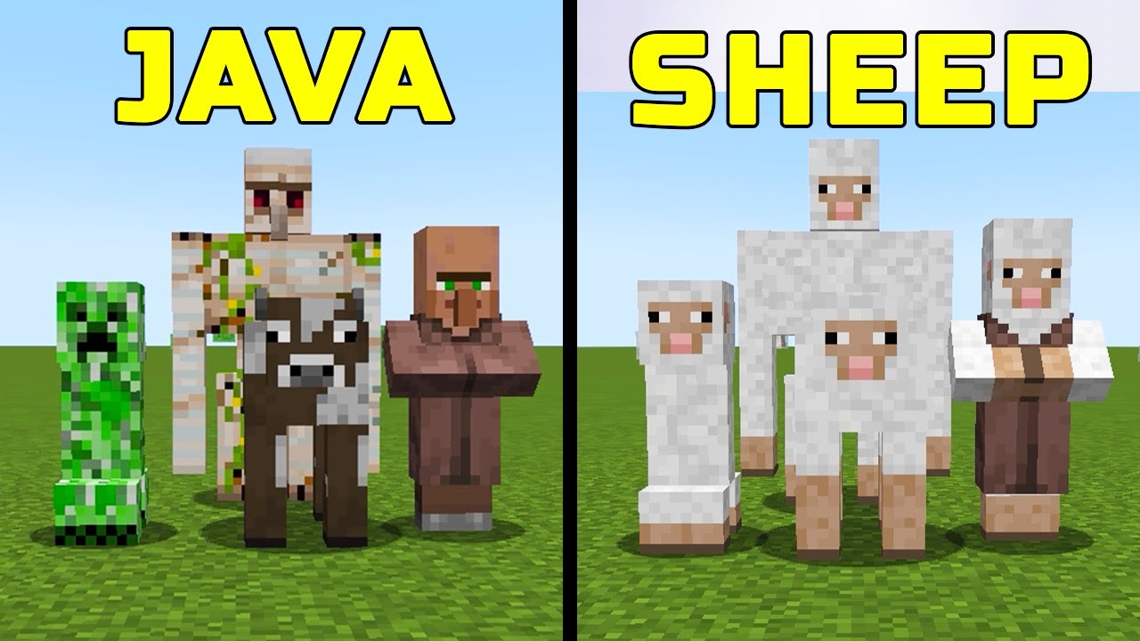 Minecraft Java vs Sheep - YouTube