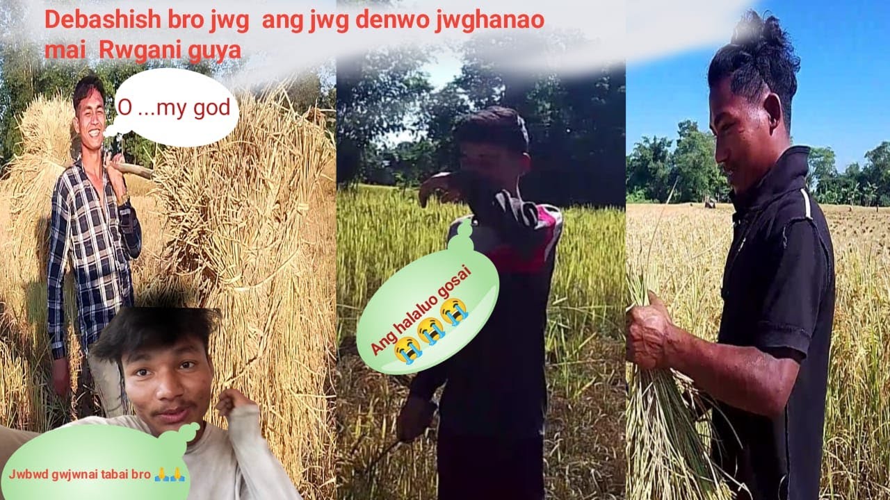 DEBASHISH BRO Jwg ang jwg denwo jwganao mai Rwgani Guys // Jwbwd kost ...