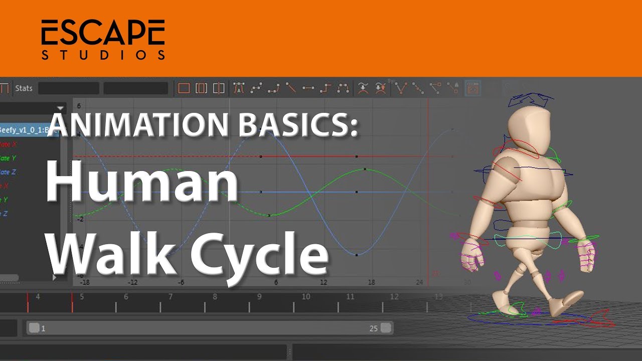 Human Biped Walk Cycle - Tutorial - YouTube