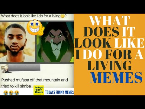 Todays Funny Memes - What does it look like i do for a living meme