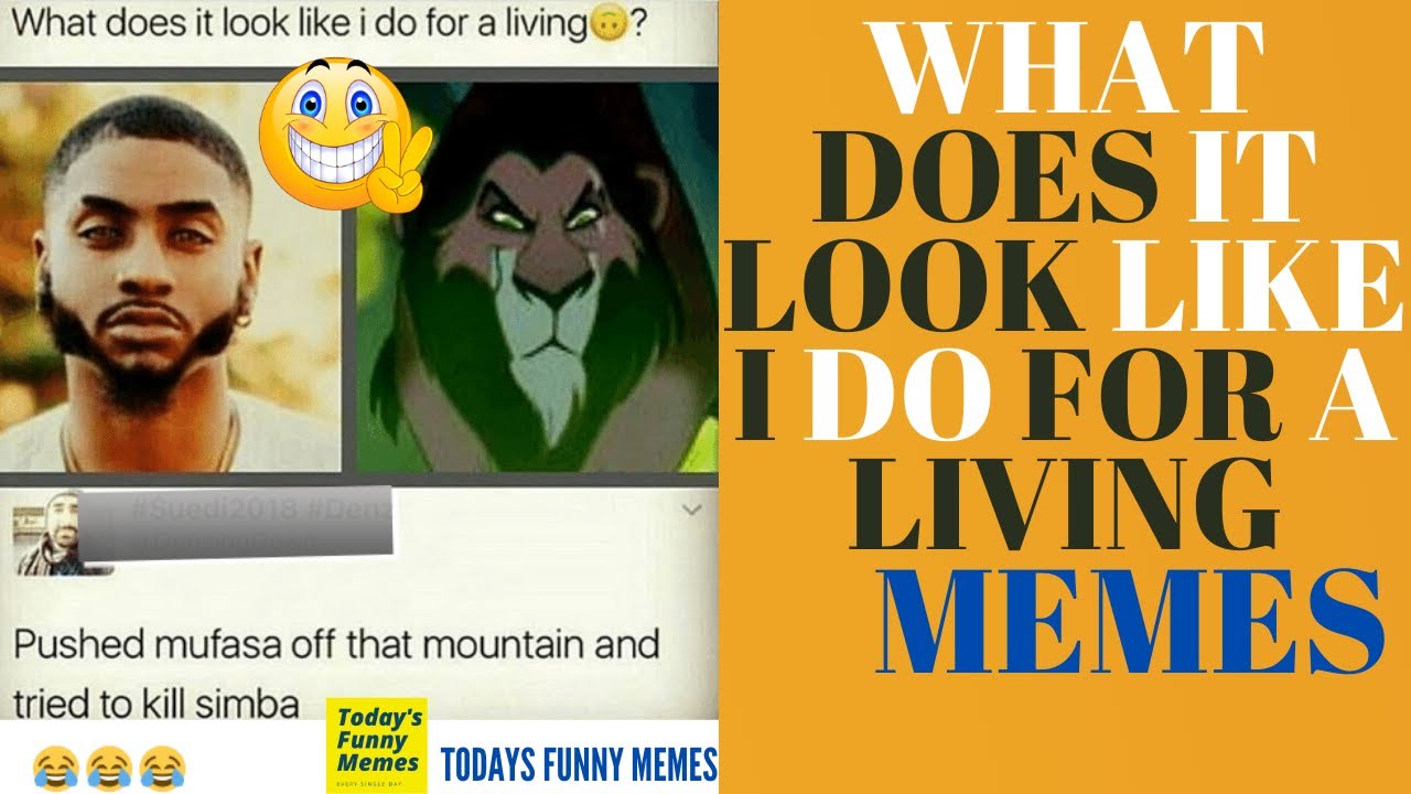 Todays Funny Memes - What does it look like i do for a living meme ...