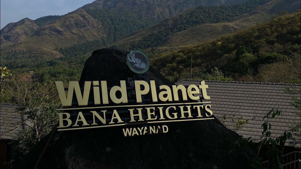 Wild planet Bana heights Resort Wayanad - YouTube