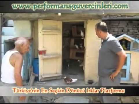 İzmir Gültepe'den Zeki Dayı ve Kuşları