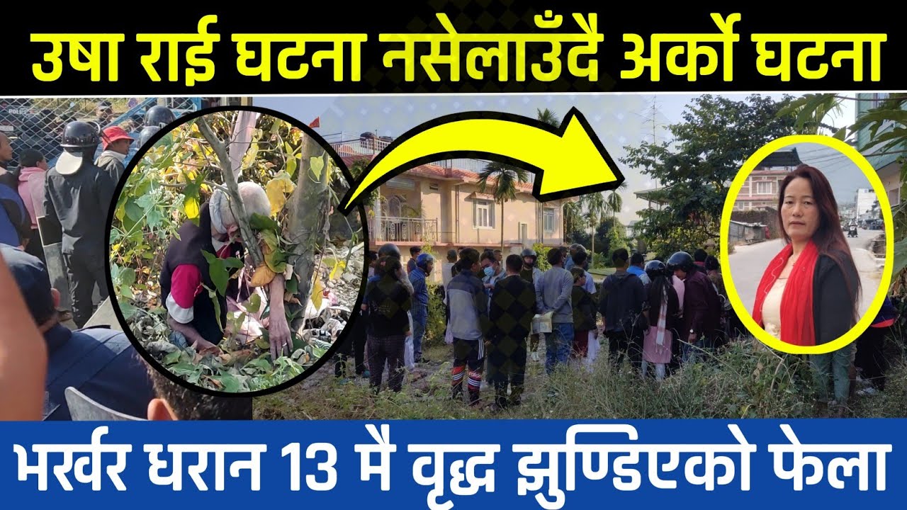 usha rai कान्न सेलाउननपाउँदै छेऊमै वृद्ध रुखमा... अवसथामा फेला dharan ...