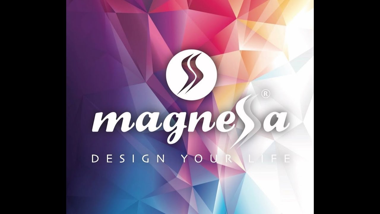 MagneSSa Bangladesh Business Presentation ( Bangla )- ঘরে বসে ...