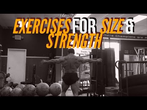 Ben Pollack - Find The Perfect Exercises For Size and Strength : weightroom