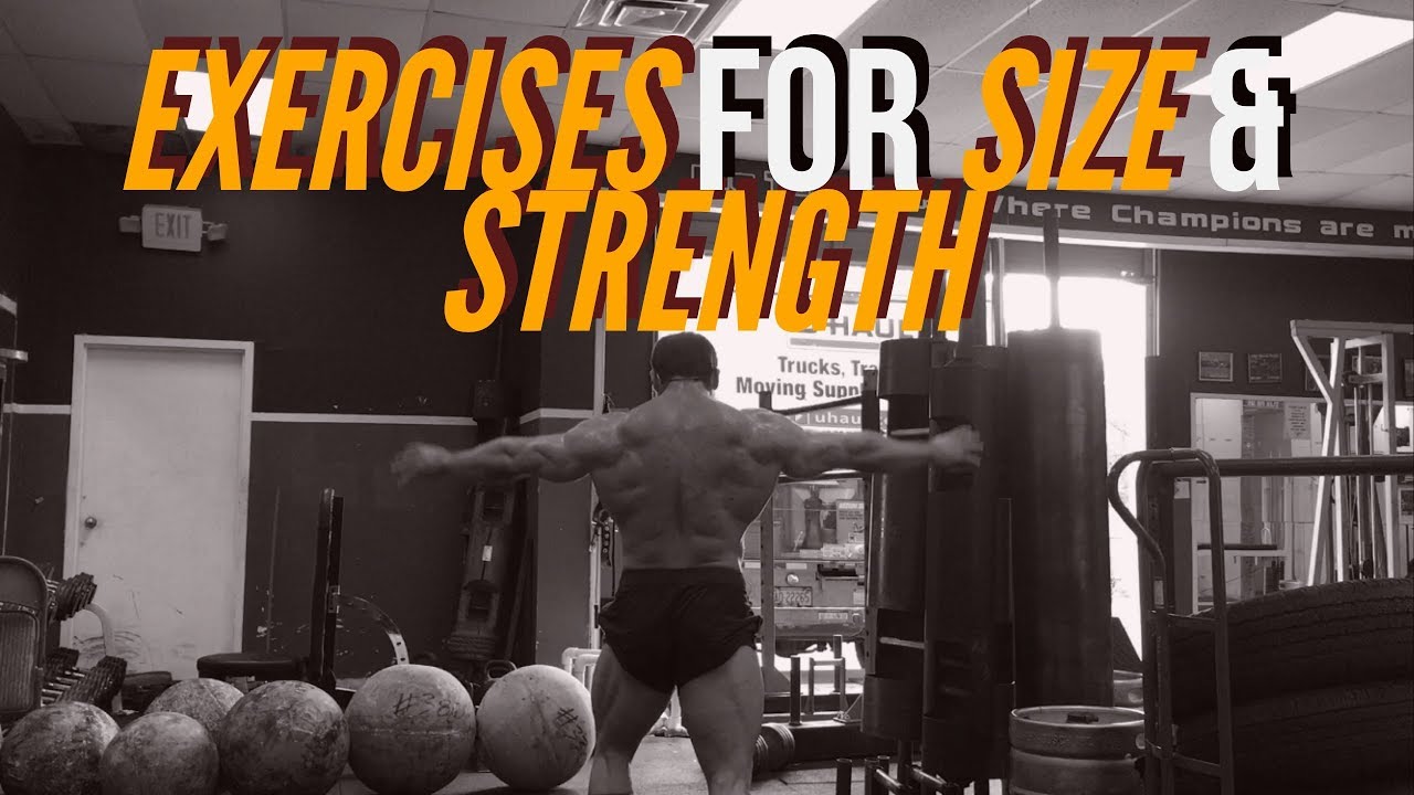 FIND THE PERFECT EXERCISES FOR SIZE & STRENGTH - YouTube