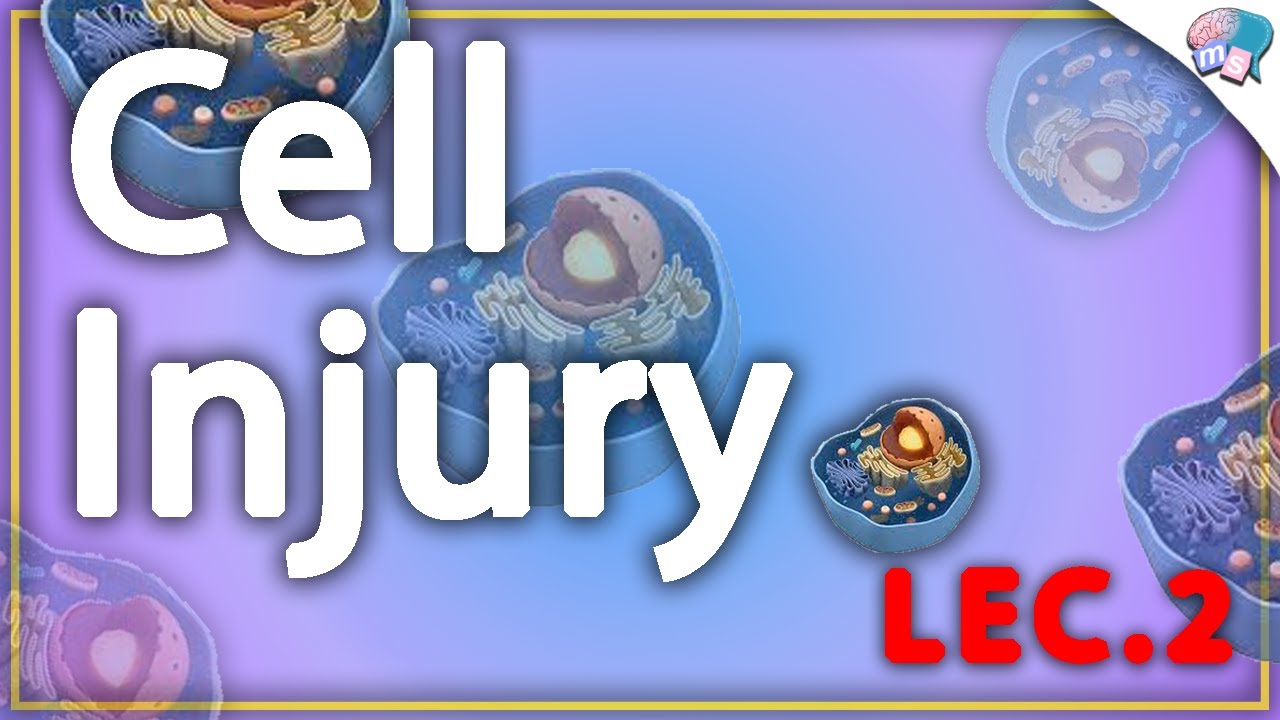 [[ Pathology ]] : Cell Injury ( lec 2) - YouTube