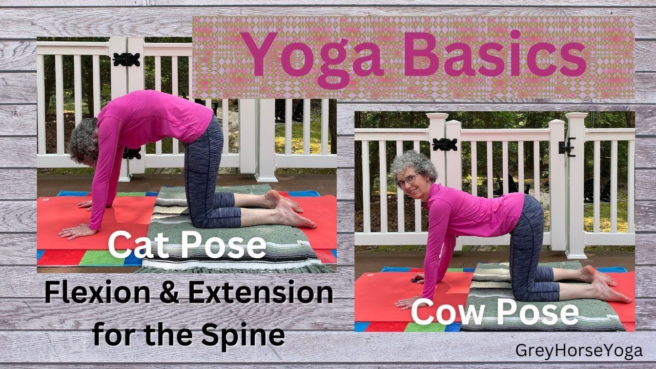 Yoga Basics: Cat & Cow--Flexion & Extension of the Spine - YouTube