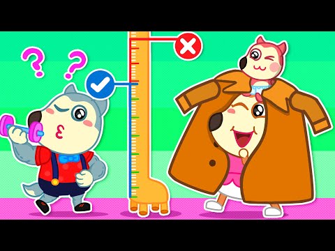Big Or Small ❓ Baby Boy Or Baby Girl👦🏼👧🏼 Opposite Siblings Song 🎶 Wolfoo Nursery Rhymes & Kids Songs