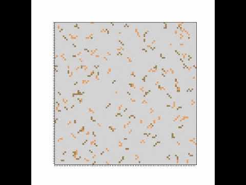 Schelling Segregation Model Demo - YouTube
