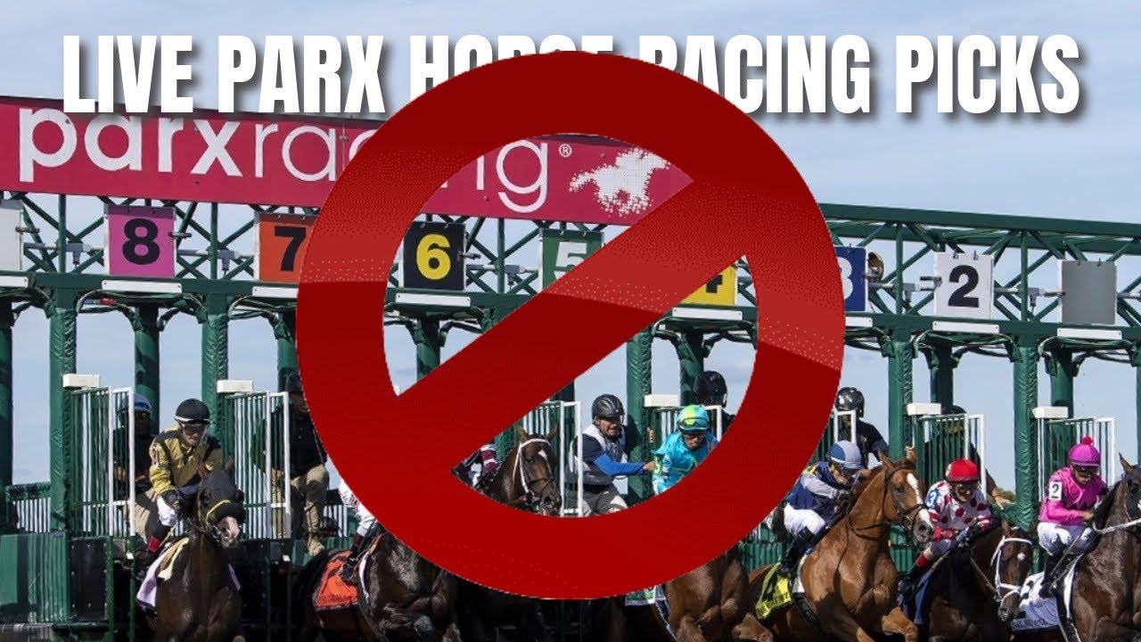 Live Parx Horse Racing Picks - YouTube
