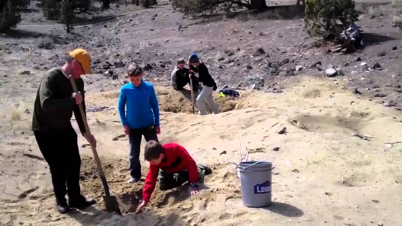 Activities in Oregon: Digging for Petrified Wood in the High Desert ...