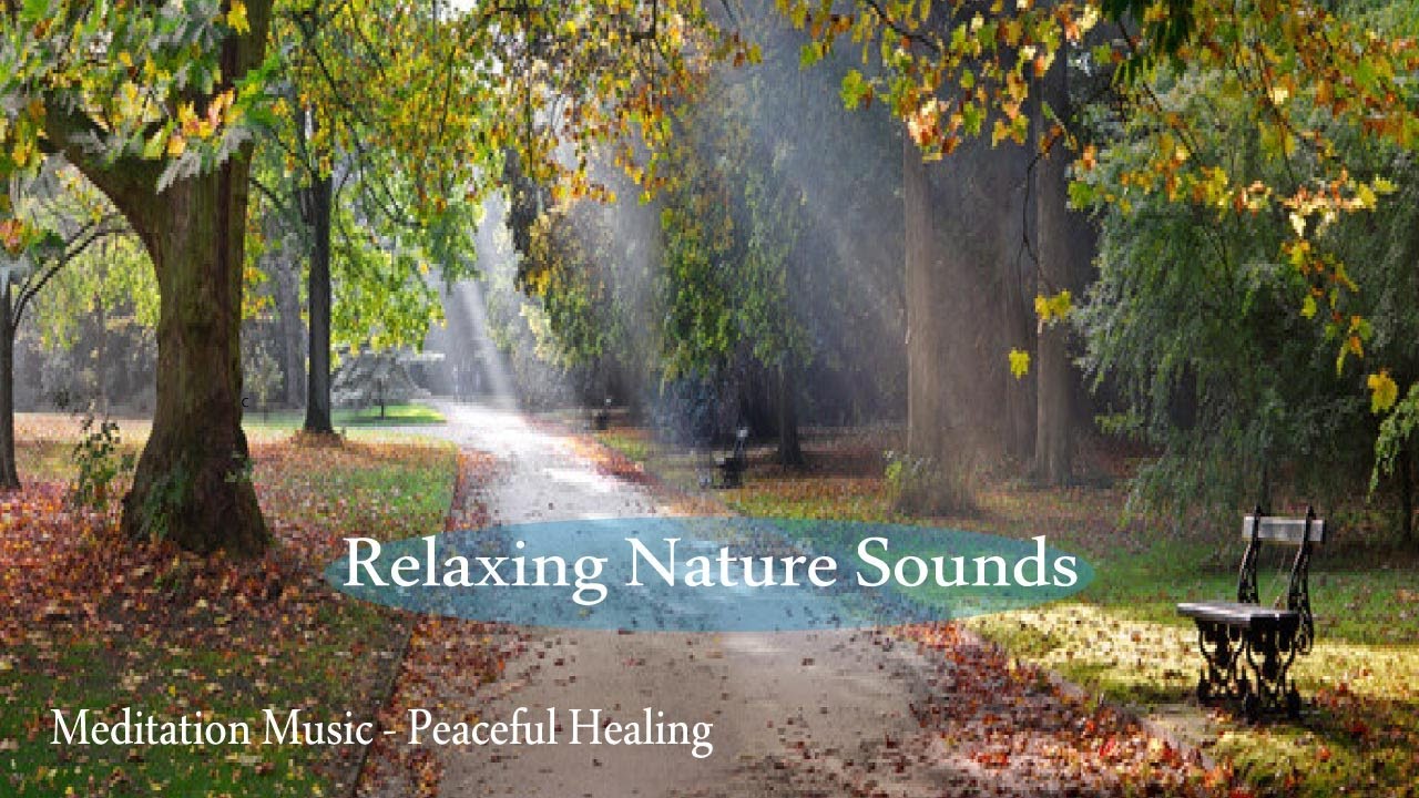 Soothing and peaceful sound to help you heal and relax © Meditation ...
