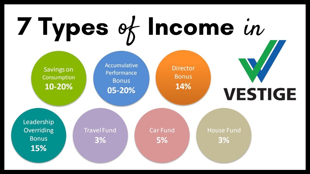 7 Types of Income in VESTIGE (in Hindi) 💰 - YouTube