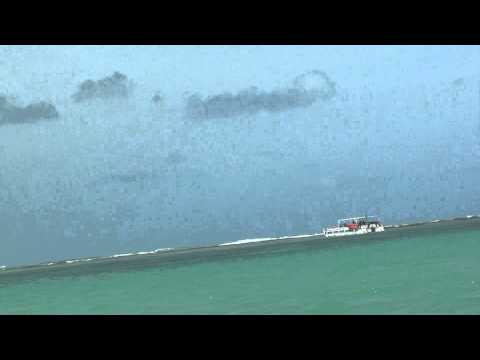 Piscinas naturais em Maragogi  - voltando para praia...