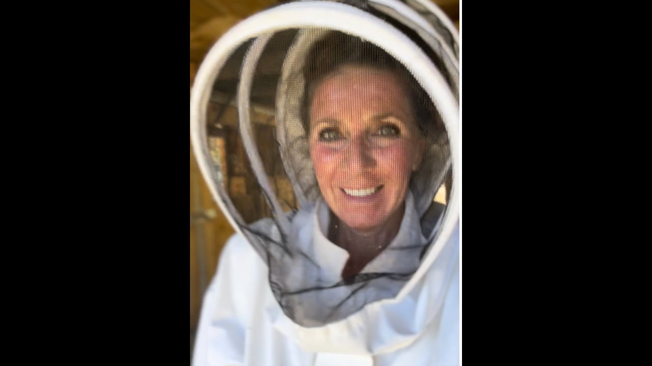 BEGINNER BEEKEEPER~Episode 43 ANGRY BEES! - YouTube