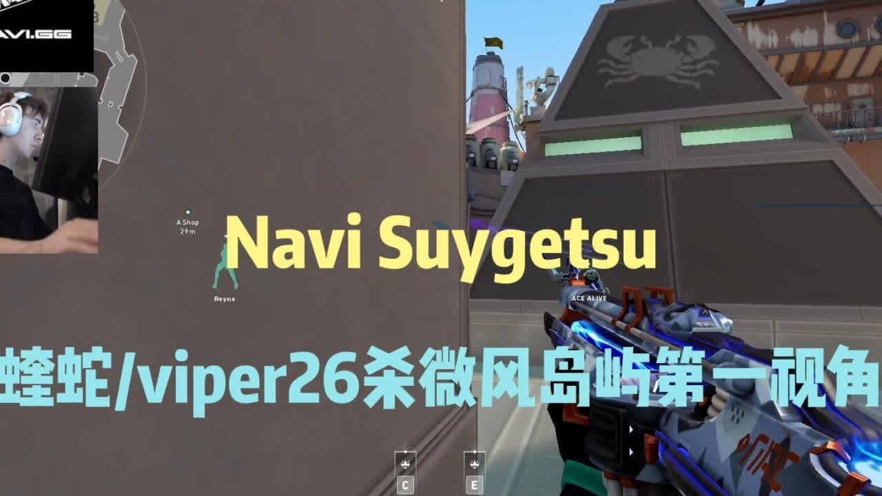 【Navi Suygetsu】蝰蛇26杀微风岛屿第一视角 Suygetsu02年俄罗斯人，现役于Navidpi：800×0.25 edpi ...