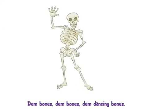 Skeleton dance - song for kids (nursery rhyme song for babies ) - YouTube
