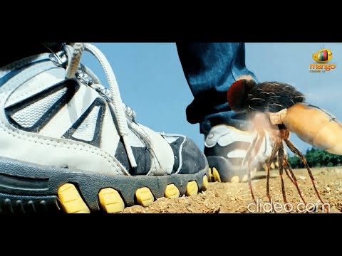 Eega Movie Scene - A tiny Bug, Fly avoids Giant Men In Shoes