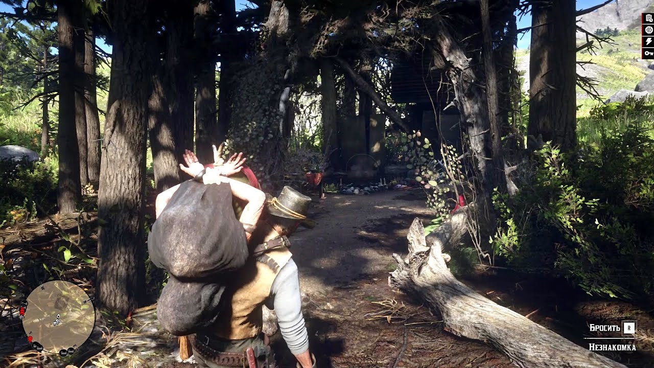 RDR2 - What happens if Arthur brings a witch to the witch's hut - YouTube