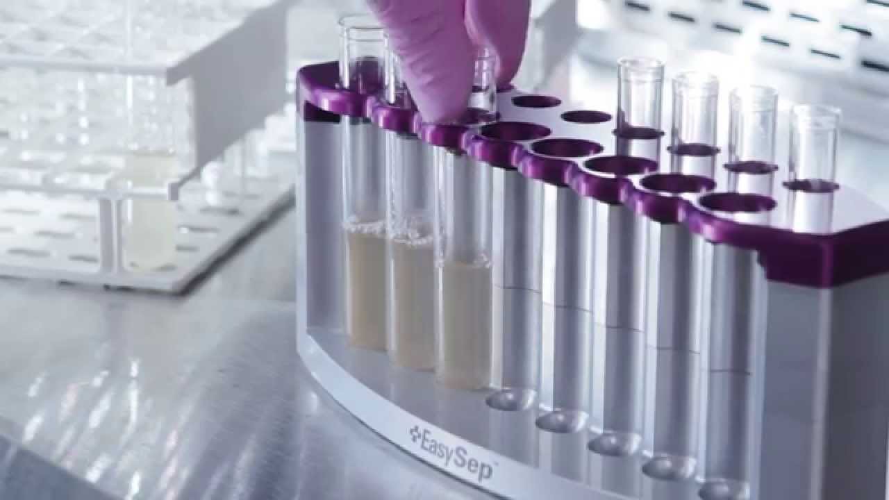 How to Pipette Off the Supernatant from the EasyEights™ EasySep™ Magnet ...