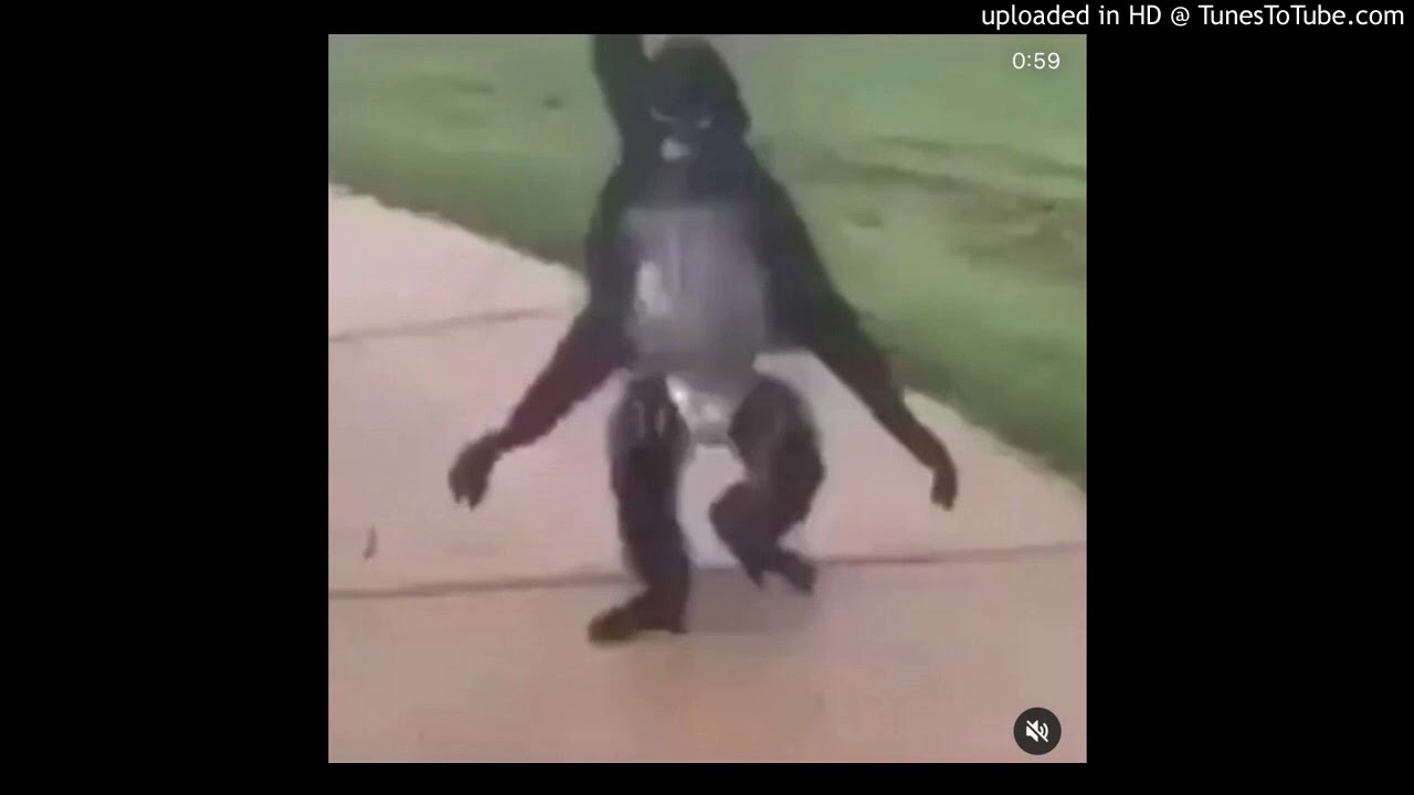 [FREE] MONKE x MEME TYPE BEAT "THA MIGHTY JUNGLE" (prod. 6VENT ...