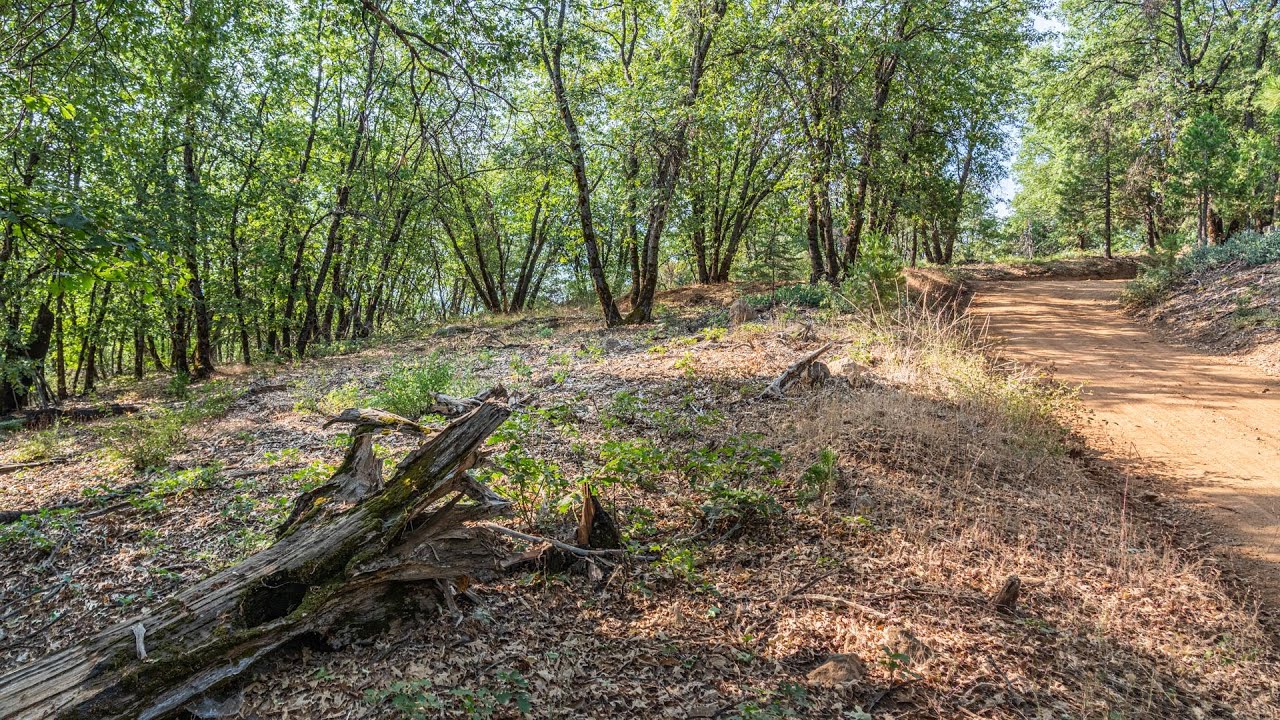 Chicken Hawk Rd, Michigan Bluff, CA 95631 - 165 acres +/- - YouTube