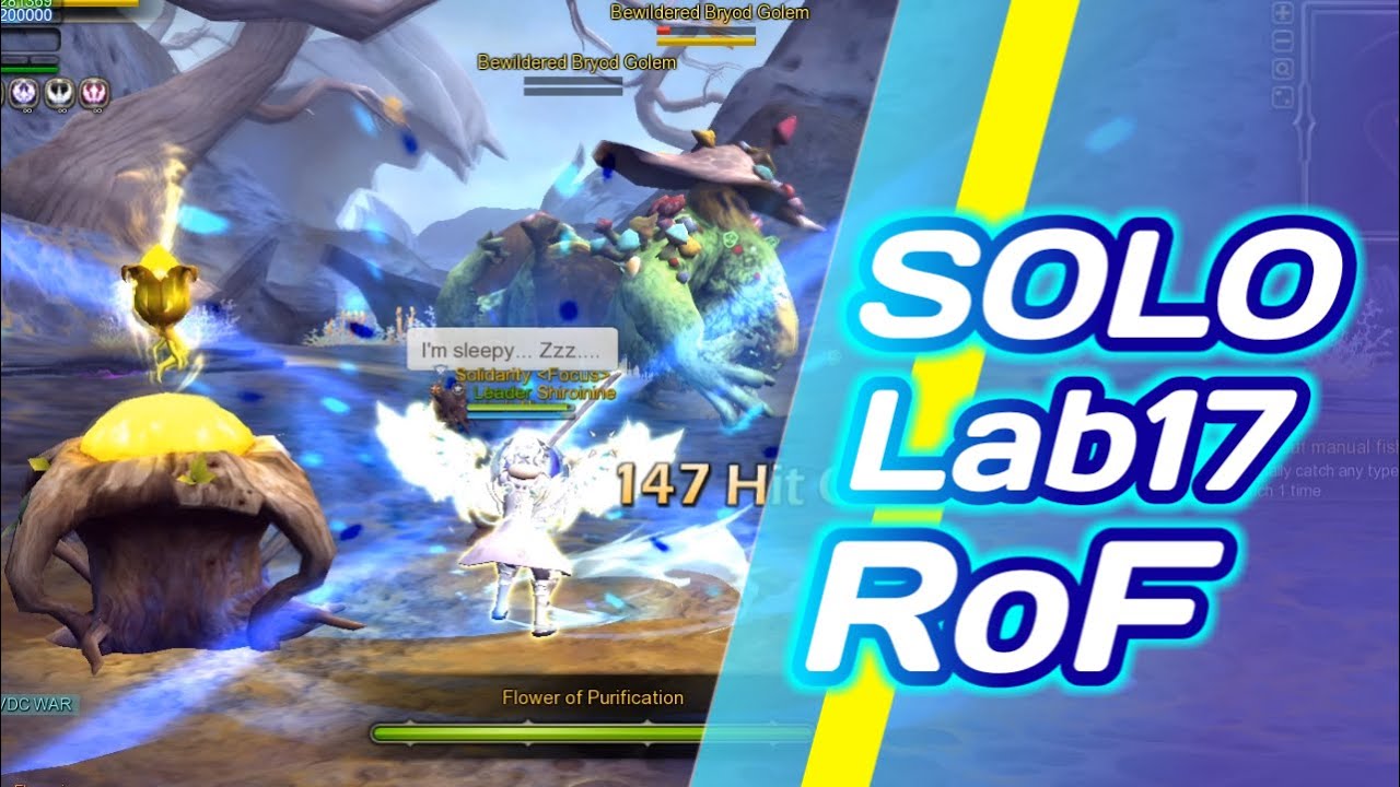 SOLO LAB17 Relic of Fog VDJ+10 Baphomet pet - Dragon Nest SEA - YouTube
