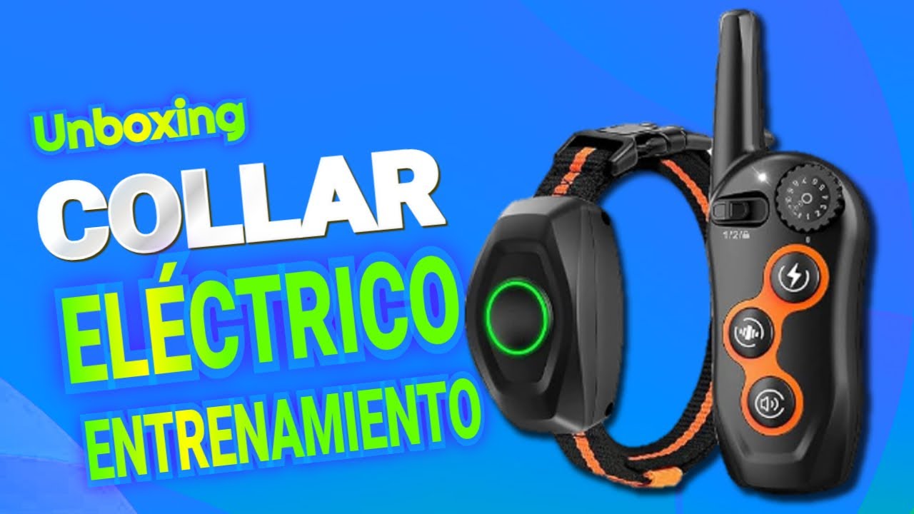 Collar Eléctrico para perros | ADIESTRAMIENTO CANINO - YouTube