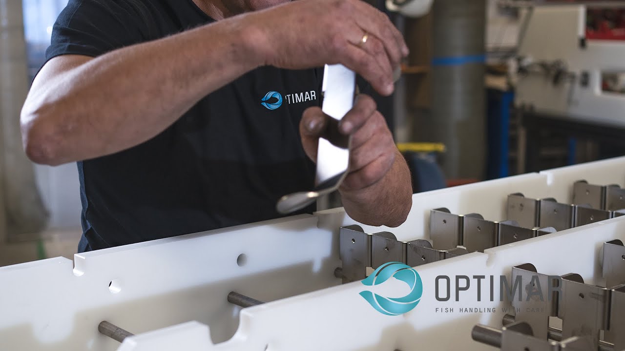 Factory | OPTIMAR FISH HANDLING WITH CARE 3 @optimarno - YouTube
