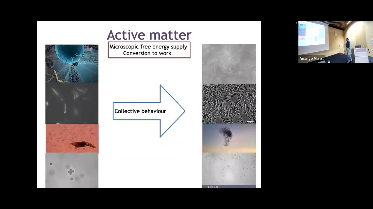 Guest Lecture: Ananyo Maitra - Time liquid crystals - YouTube