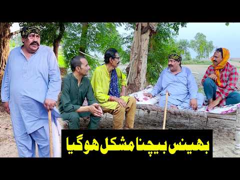 Tasleem Abbas and Soni New Funny Video || Village Life Prank @TasleemAbbasOfficial