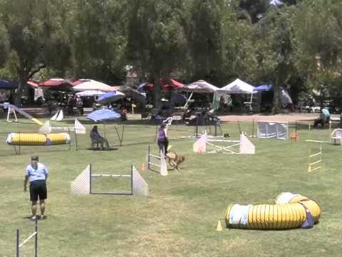 New Agility Move - YouTube