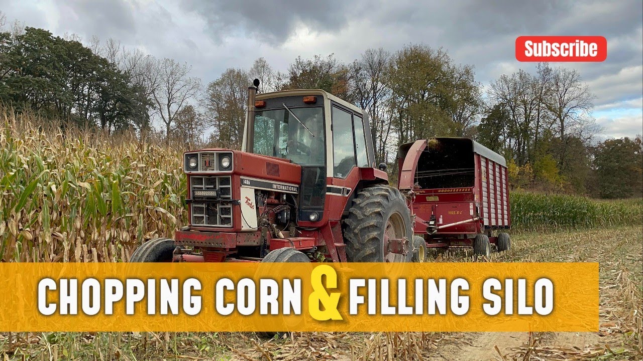 Chopping Corn with IH 1486 - YouTube