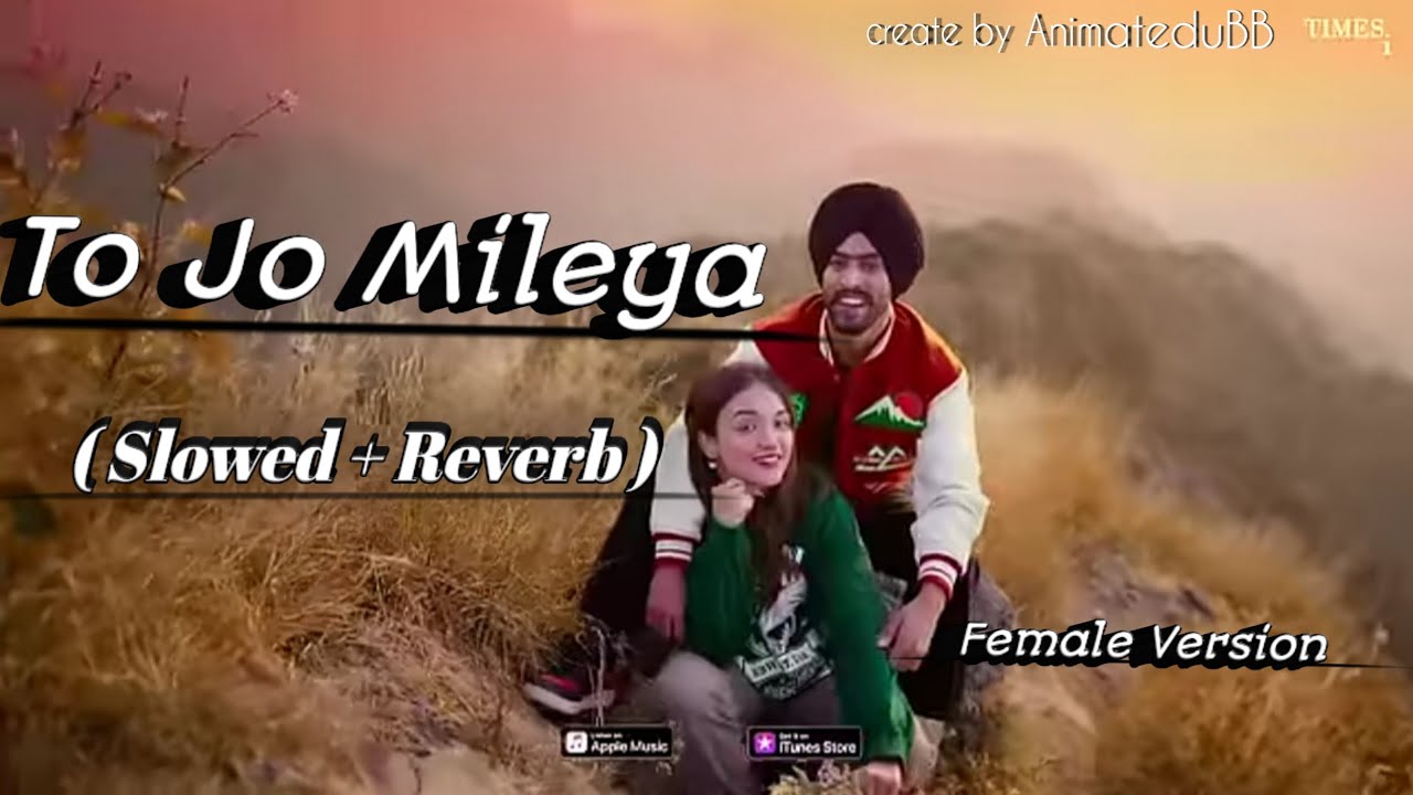 Tu Jo Mileya | Female Version [ slowed + reverb ] | New Punjabi Song ...