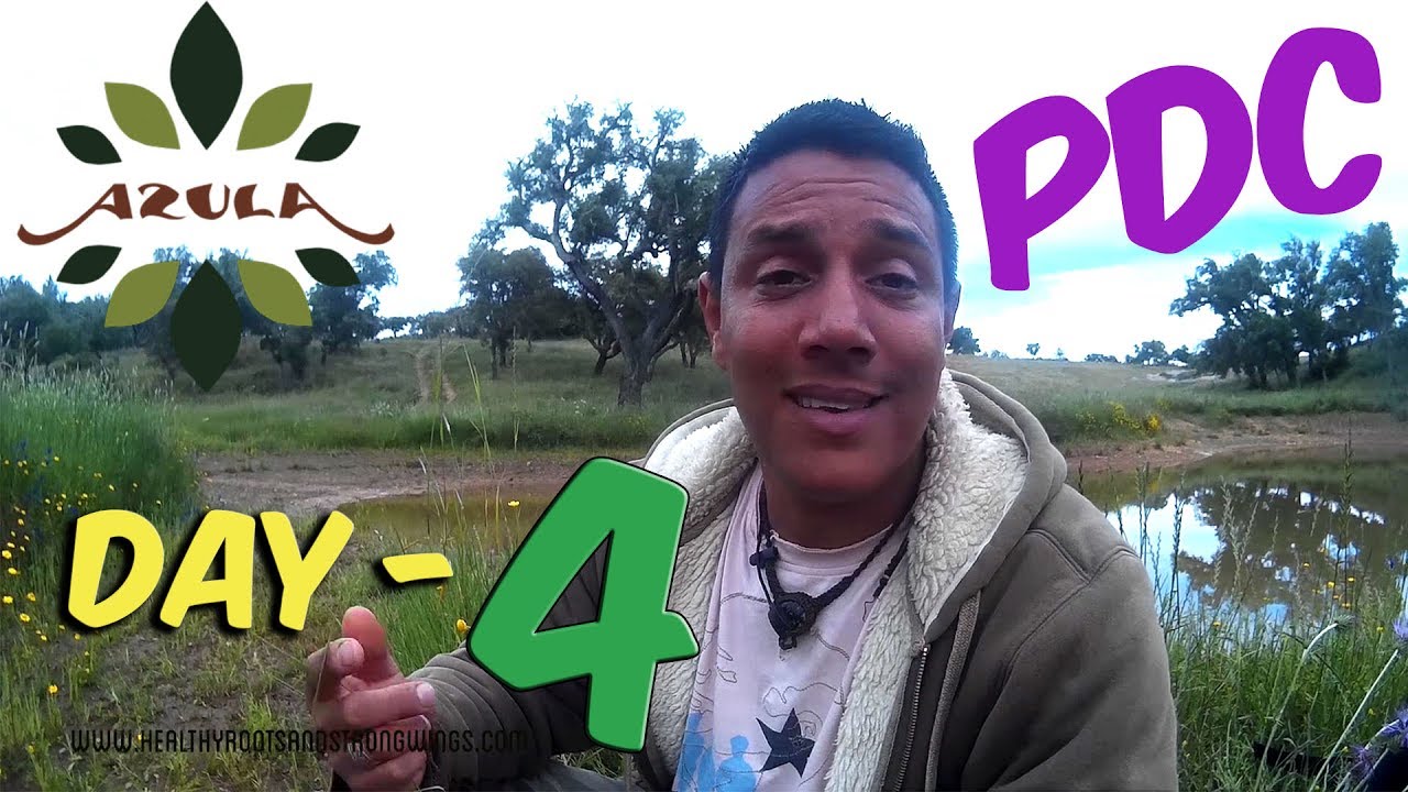 Azula Permaculture Design Course, Portugal - PDC Day 4 - VLOG#019 - YouTube